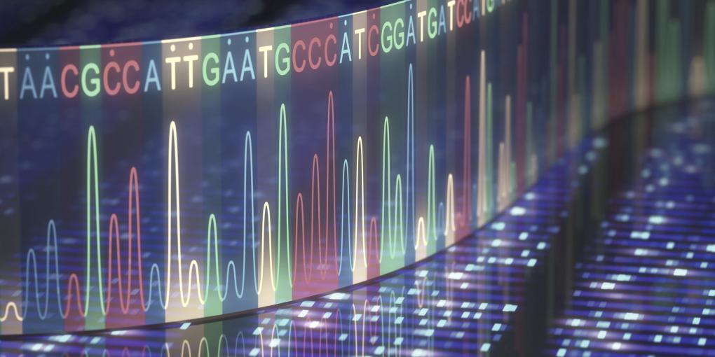 Lorne Genome 2024 | Ramaciotti Centre for Genomics
